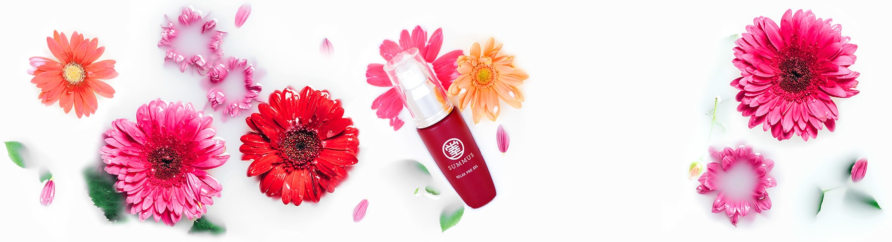 Relax Pro Gel — Shiawasedo